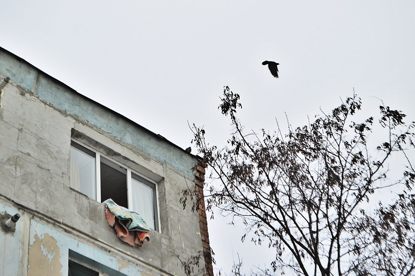 Articularea identității - Prăvălia Culturală