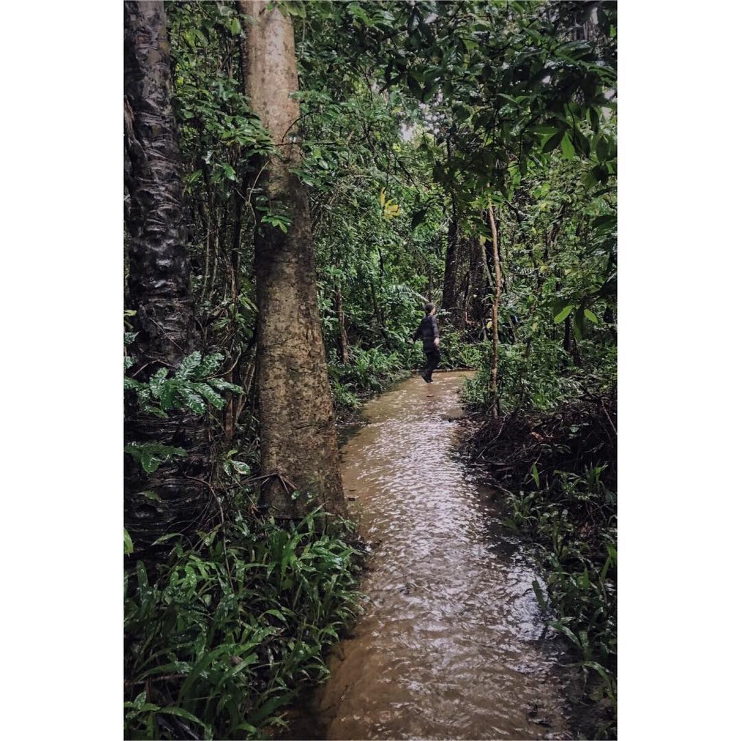 ODICOLONURI - Prăvălia Culturală